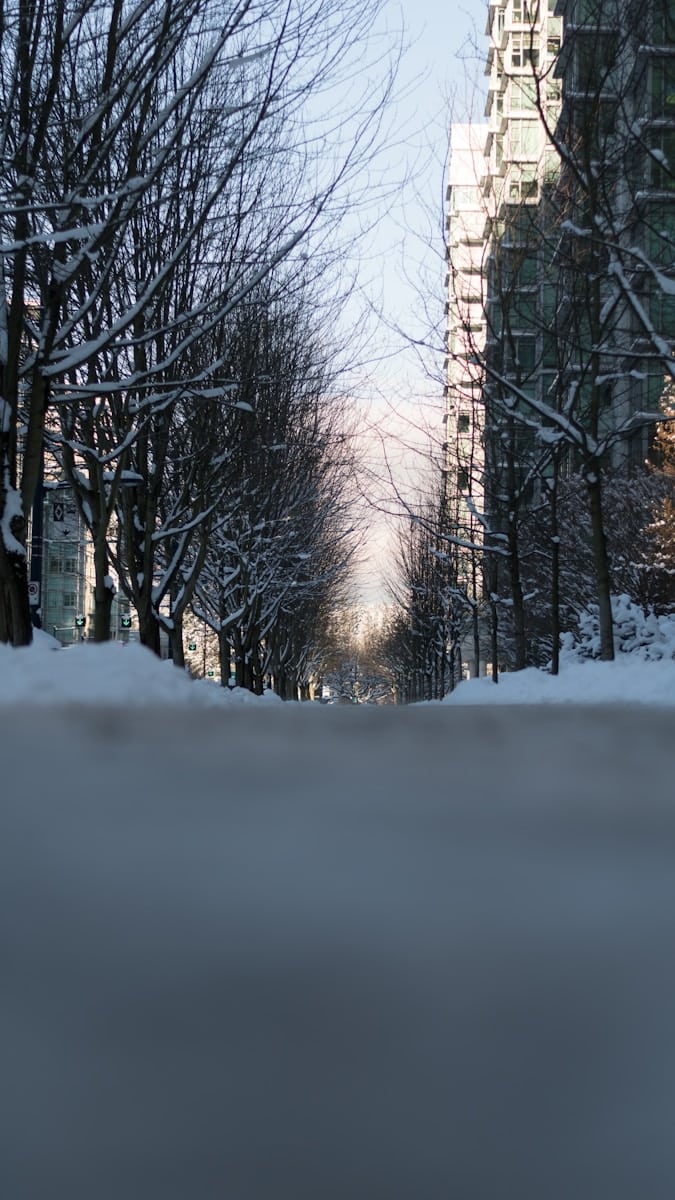 Who’s Liable for Icy Sidewalk Accidents? Your Complete Guide - John Bryant
